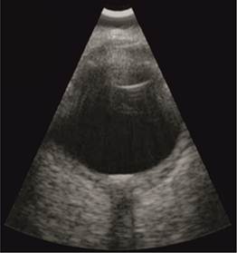 Research Journal of Medical and Allied Health Sciences